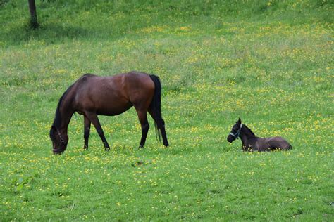 Ich Bin Noch Klein Foto And Bild Natur Landschaft Tiere Bilder Auf