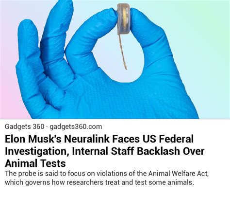 Neuralink Faces Us Federal Probe Staff Complaints Over Animal Tests Neuralink Faces Us Federal Probe Staff Complaints Over Animal Tests