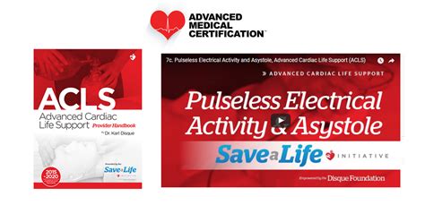 Pulseless Electrical Activity And Asystole Acls Online Handbook