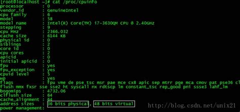 linux环境内存分配原理 mallocinfo mallinfo CSDN博客