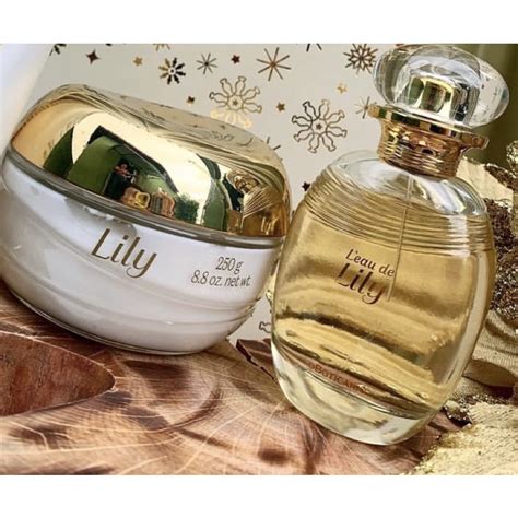 Kit Lily Shopee Brasil