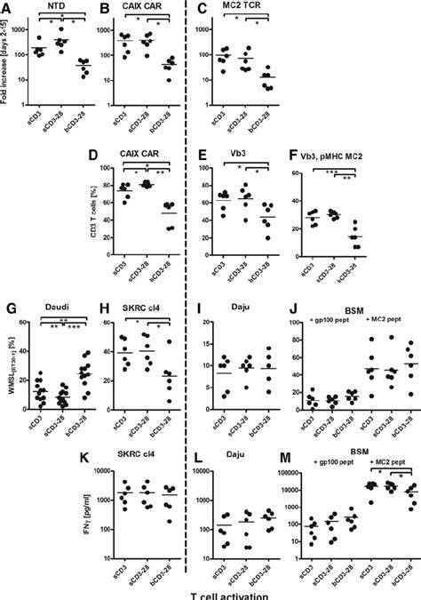 Effects Of T Cell Activation Conditions On T Cell Proliferation Download Scientific Diagram