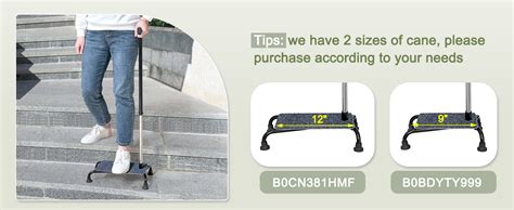 Neaude Stair Climbing Cane Lifts For Seniors Half Step