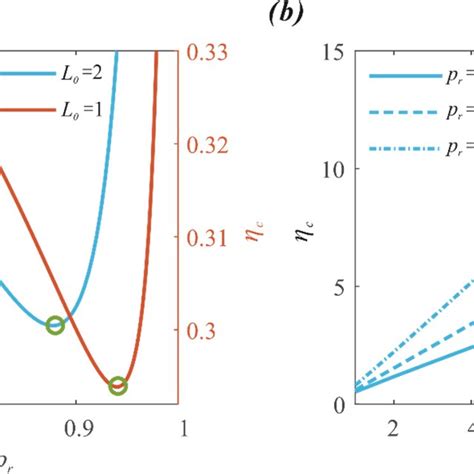 Influence Of Remaining Probability And Molecular Memory On Mature Mrna
