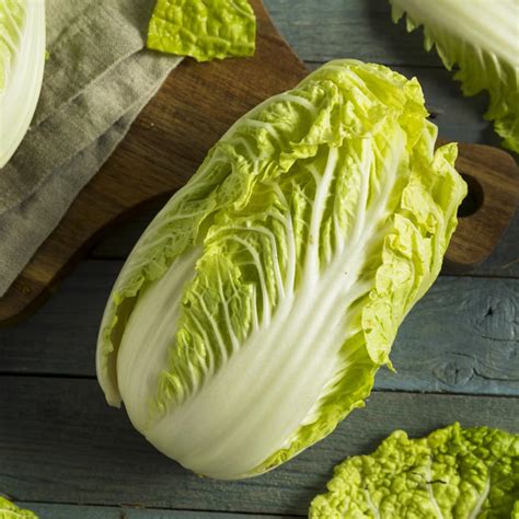 Napa Cabbage Germination Time At Loren Bona Blog