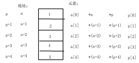C语言二级指针、指针数组、数组指针用二级指针变量存储普通的地址 Csdn博客