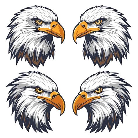 Premium Vector The Three Bald Eagles Are Shown With The Same Image