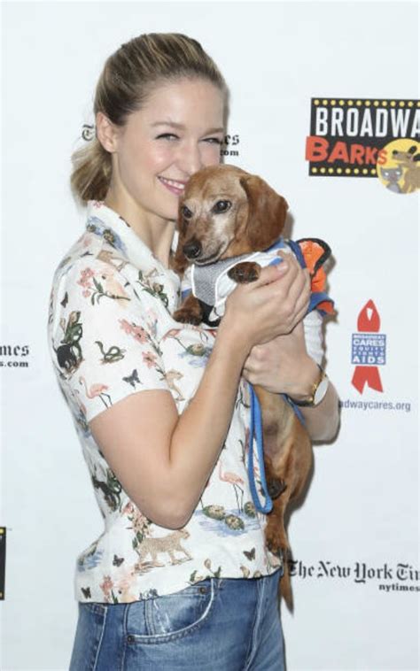 Melissa Benoist Glee Stripboeken