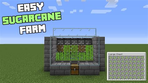 Sugarcane Farm
