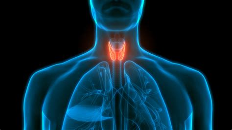 Medullary Thyroid Cancer