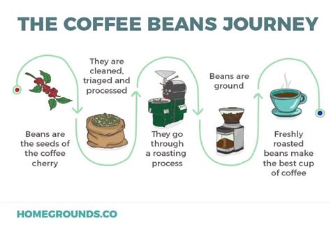 Does Coffee Go Bad Tips To Make Your Beans Last