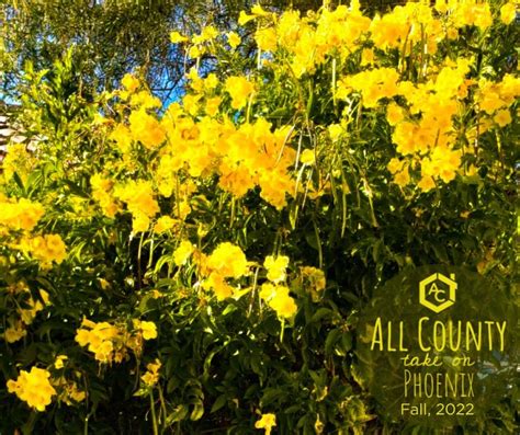 Colr Scott Glascock Mpm® Rmp® On Linkedin Phoenixphotography