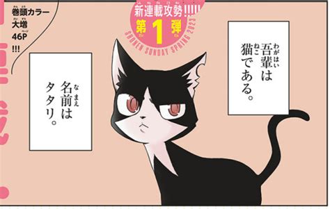 New To Sunday Wataris Tatari