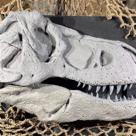 Life Size Trex Skull Replica Etsy