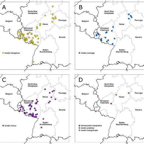 Distribution Of Tick Species Detected In Subterranean Environments Of