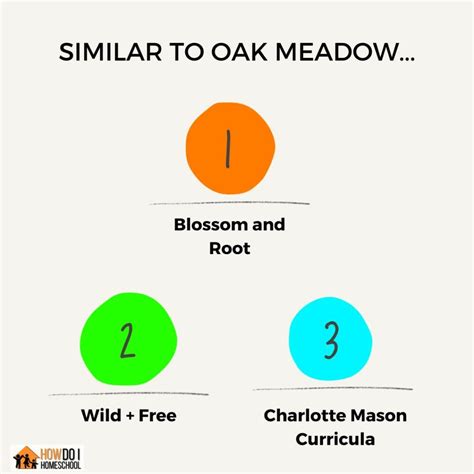 Oak Meadow Homeschool Curriculum Must Read Review [2023]