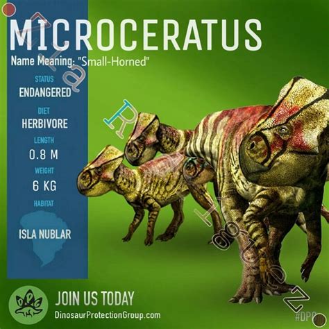 Microceratus Dinosaur Exhibit At A Jurassic World Museum