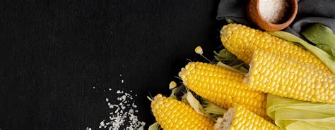 Top Modified Corn Starch Supplier Trusted Modified Corn Starch Distributor