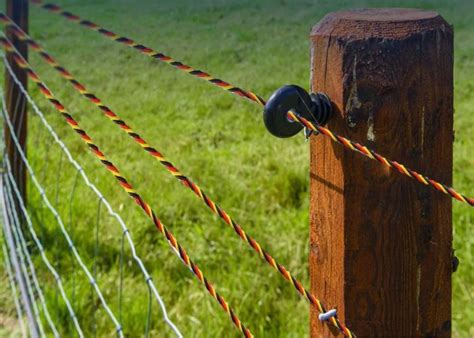 Types Of Electric Fences Elife