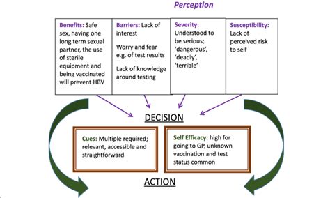 Key Findings Within The Hbm Framework Download Scientific Diagram