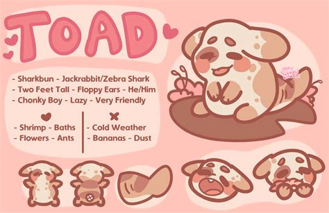 Toad Reference Sheet Myo Pending By Slimybagelbites On Deviantart