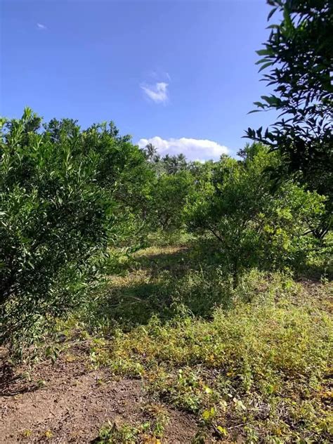 Laureen Grace Laureen Grace Added A New Photo