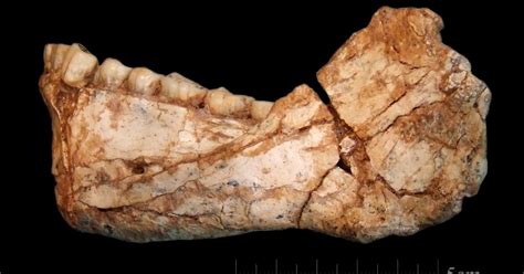 Descubrimiento De Los FÓsiles Mas Antiguos De Homo Sapiens
