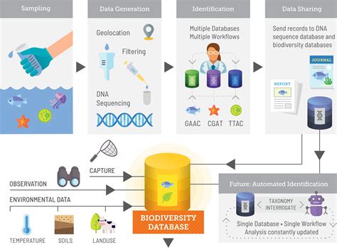 Making Environmental Dna Edna Biodiversity Records Globally