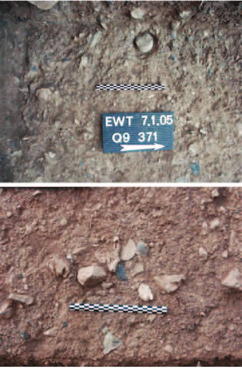 Pes Tle Frag Ments In Situ On An Early Natufian Liv Ing Sur Faces