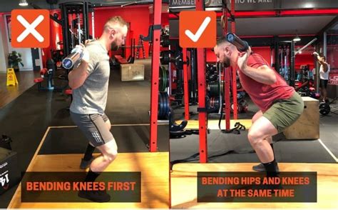 Partial Squats Benefits Muscles Worked Are They Safe