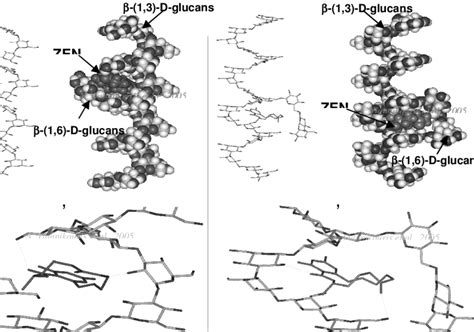 Computer Generated Views Insight Ii Program Of The Energy Minimized Download Scientific