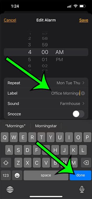 What Is An Alarm Label On An Iphone 13