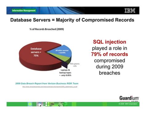 Ibm Infosphere Guardium Overview Pdf Databases Computer Software And Applications