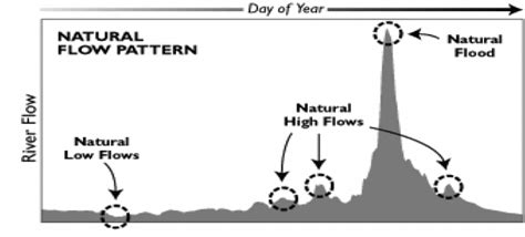 Environmental Flow Alchetron The Free Social Encyclopedia