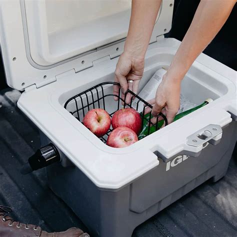 Customer Reviews Igloo Imx 24 Quart Cooler Gray 00050367 Best Buy