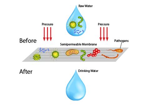 What Is A Reverse Osmosis RO Water Filtration System