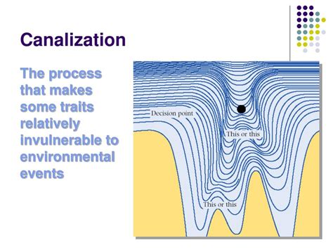Ppt The Human Heritage Genes And The Environment Powerpoint