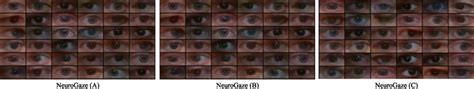 Neurogaze Pupil Center Detection On Neuroeye Dataset Neurogaze A