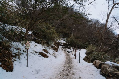 Visiting Hakone In Winter Hot Springs Hiking And Amazake