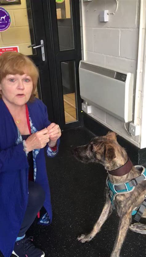 Emma Thacker Emmathacker11 Twitter