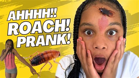 Ahhh Roach Prank‼️🪳 Youtube