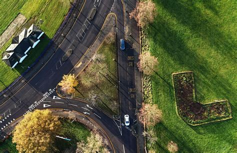 Bringing More Green To Urban Areas With Tiny Forests Efe Noticias