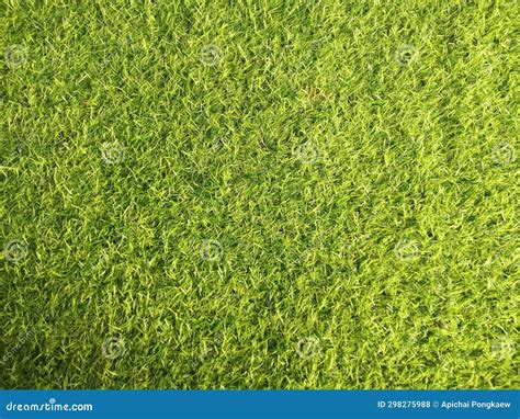 Top Veiw Abstract Blurred Artificult Turf Green Seamless Texture For