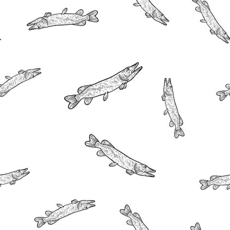 Premium Vector Big Predatory Fish Pike Seamless Set Scratch Board