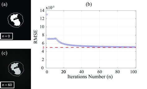 A Zero Padded Basophil Reference Image Image Size 7680 ×4320 Download Scientific Diagram