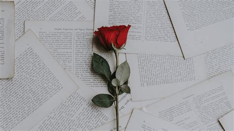 15 Top Cute Wallpaper Notebook You Can Download It For Free Aesthetic