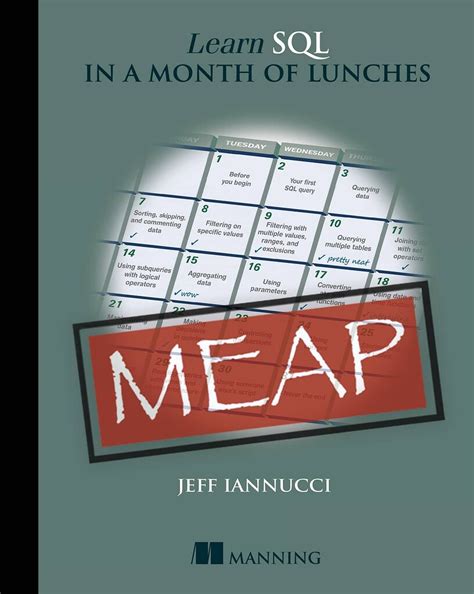 Learn Sql In A Month Of Lunches Manning Backend Learning Resources