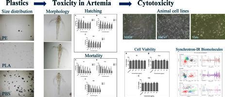 生物塑料对丰年虫（artemia Franciscana）和细胞系的毒性评估emerging Contaminants X Mol