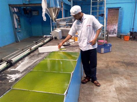 D Y Patil Processing And Food Engineering