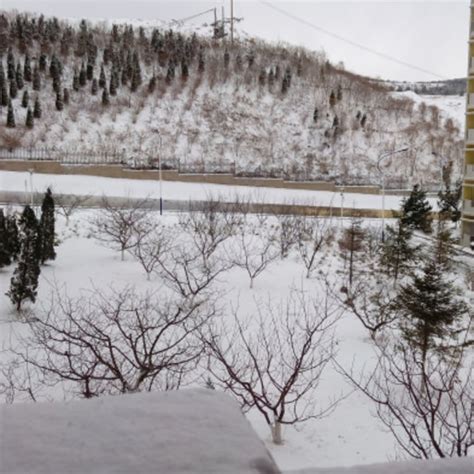 Hongyu Li Nagoya University Nagoya Meidai Economic Research Center Research Profile Hongyu Li Nagoya University Nagoya Meidai Economic Research Center Research Profile